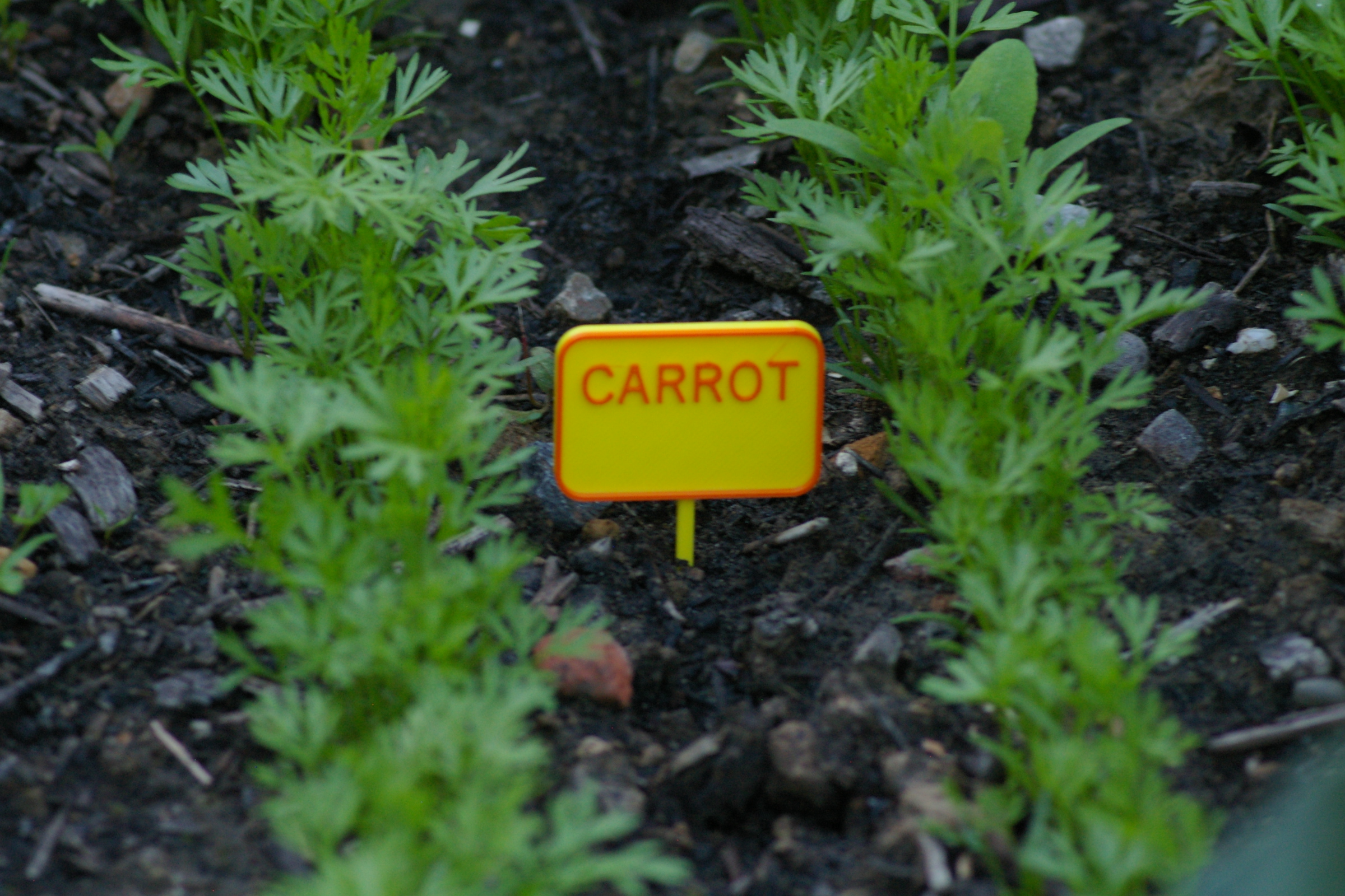 Plant Sign by The_3D_Printing_Tiger | Download free STL model ...