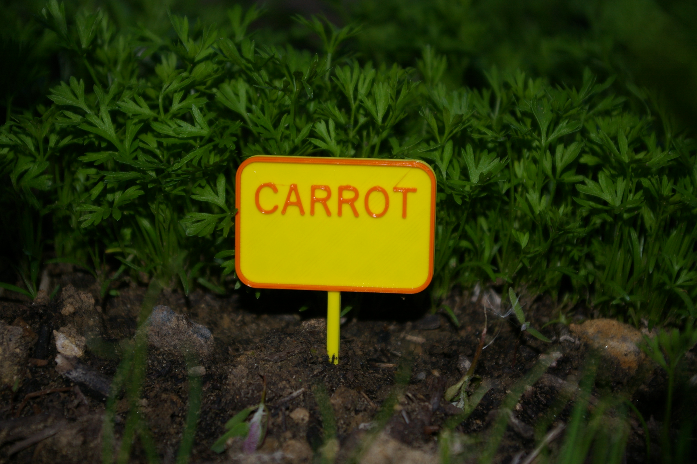 Plant Sign by The_3D_Printing_Tiger | Download free STL model ...