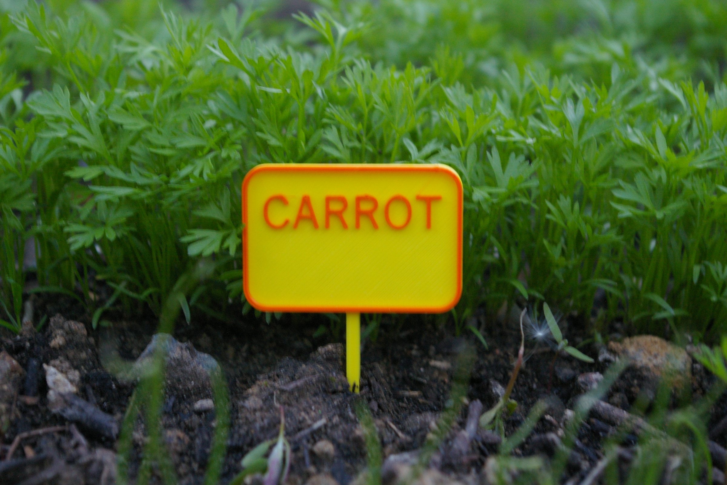 Plant Sign by The_3D_Printing_Tiger | Download free STL model ...