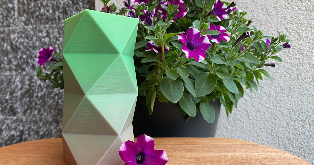 Geometric Vase - Pot and planter for House Plants and Flowers by ...