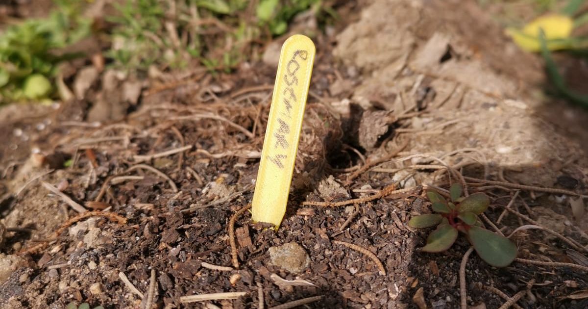 Simple Plant Label Ground Peg by JellyWobble | Download free STL model ...