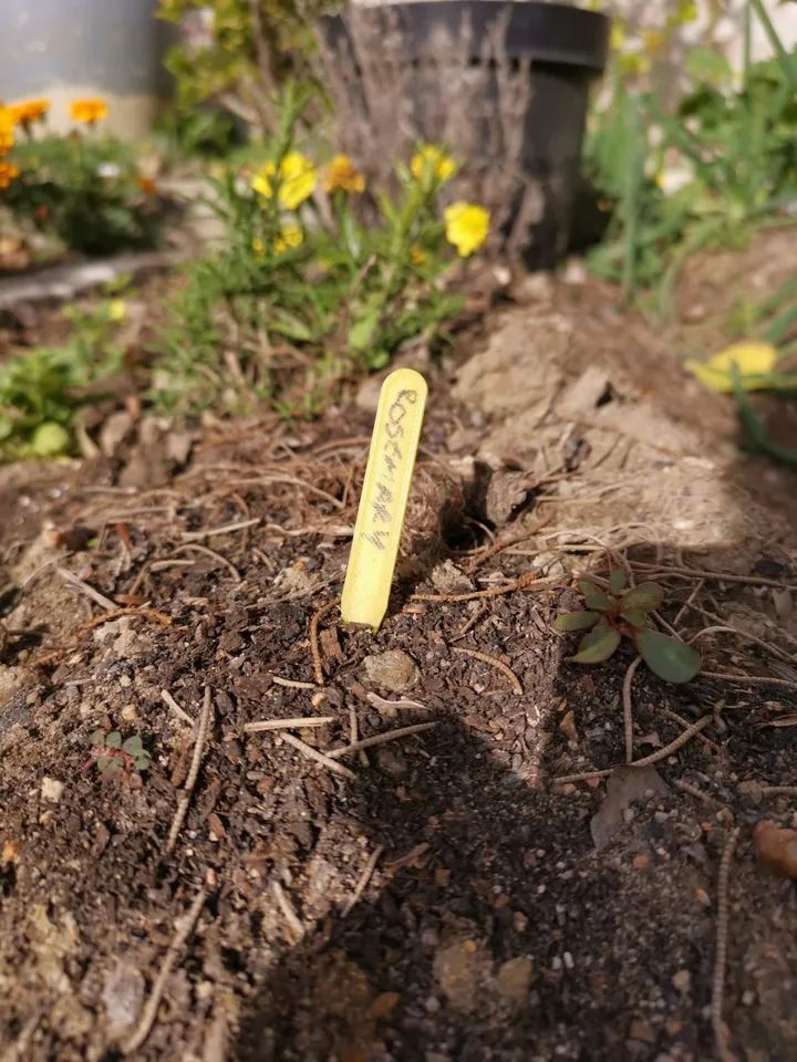 Simple Plant Label Ground Peg by JellyWobble | Download free STL model ...