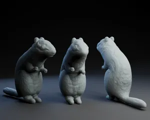 Chipmunk Kit Card by Daniel Ehme | Download free STL model | Printables.com