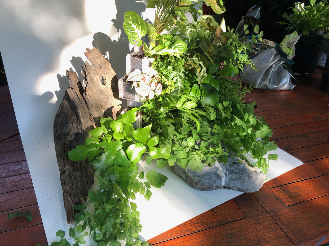 Aquarium, Terrarium, Green wall, Microgreen and Aquaponic substrate ...