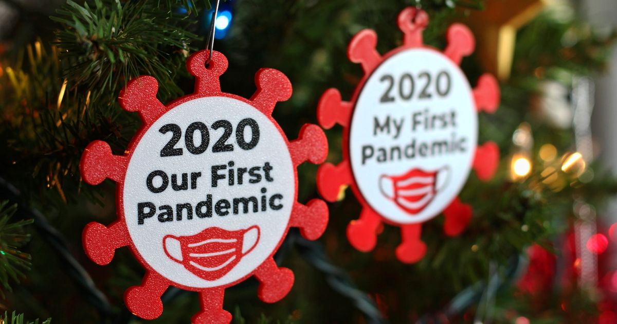 "My First Pandemic" 2020 Ornament by Julia Ebert | Download free STL ...