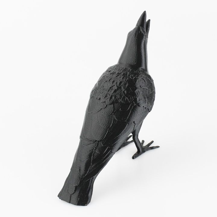 Support Free Crow by Evavoo | Download free STL model | Printables.com