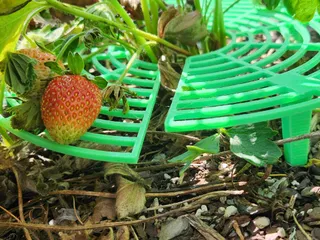 Strawberry Support Spike by KobraC0mmander | Download free STL model ...