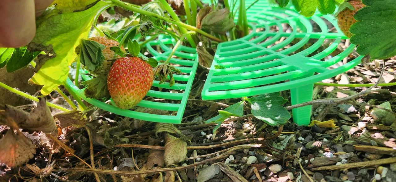 Strawberry Support Spike by KobraC0mmander | Download free STL model ...