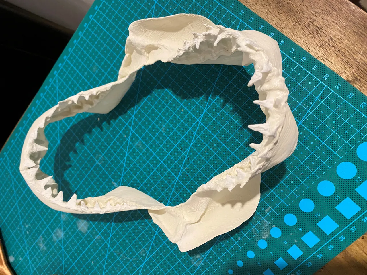 Shark Jaw Pattern