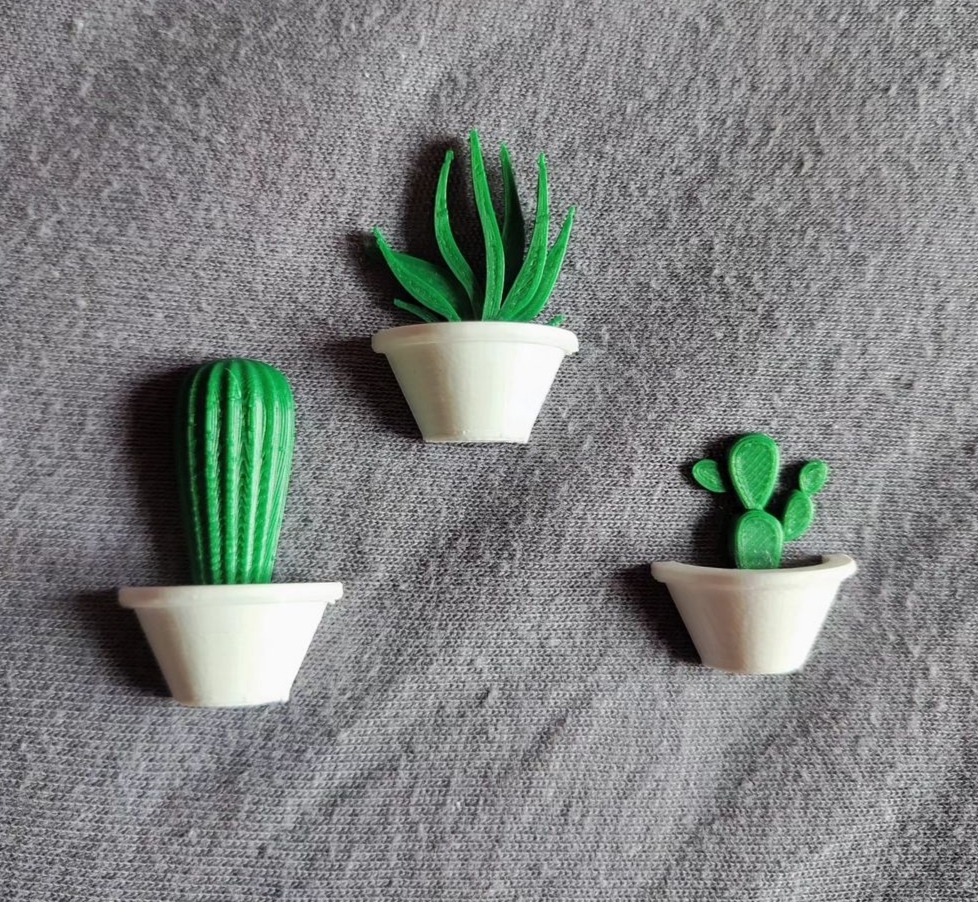 Cactus magnets by Matteo Giovanni Cirfeda | Download free STL model ...