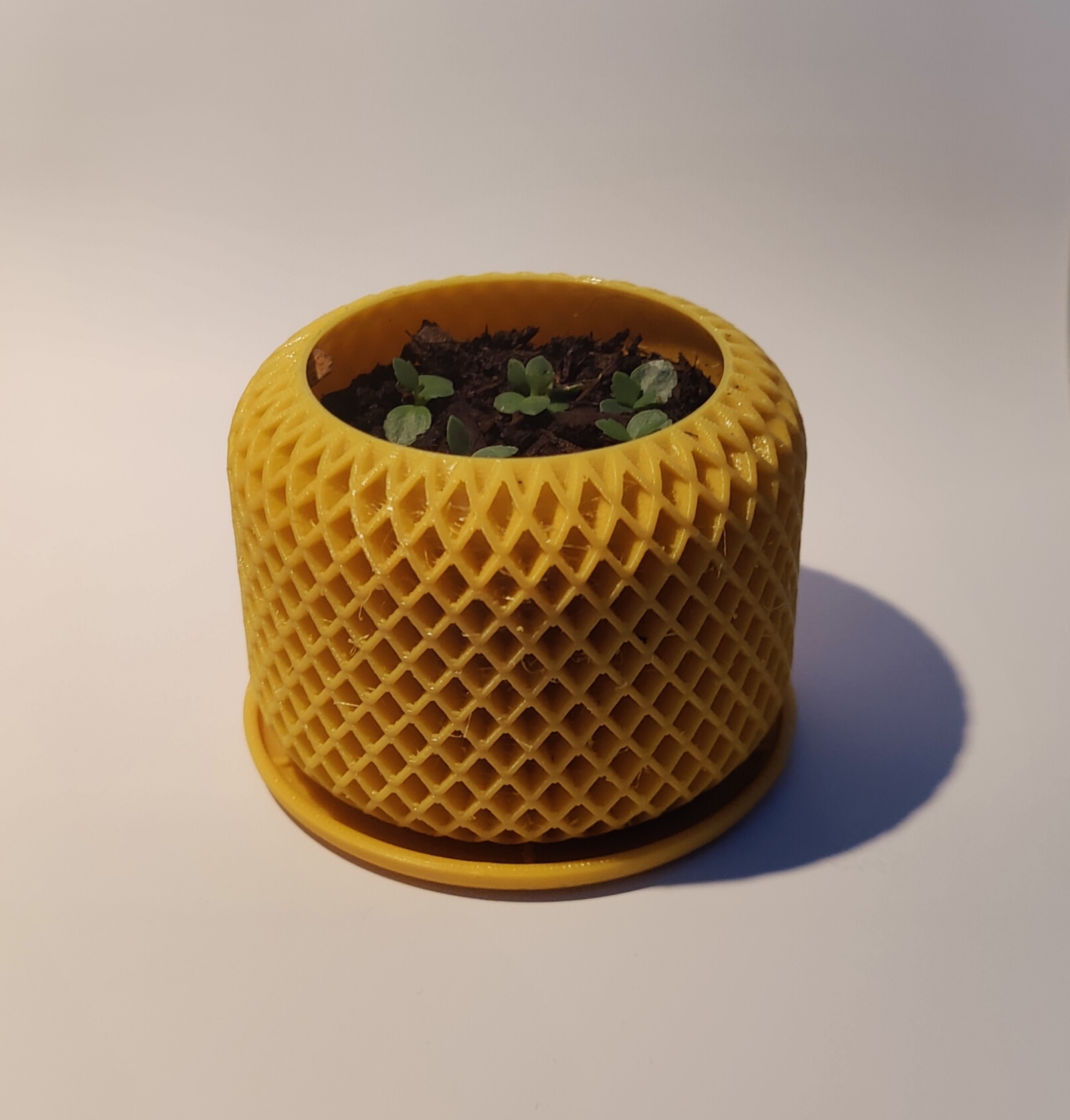 Small Geometric Planter - Tray by Lars Brockmann | Download free STL ...