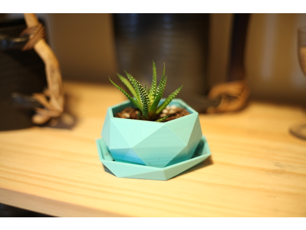 Low-Poly Mini Plant Pot by Gnappo | Download free STL model ...