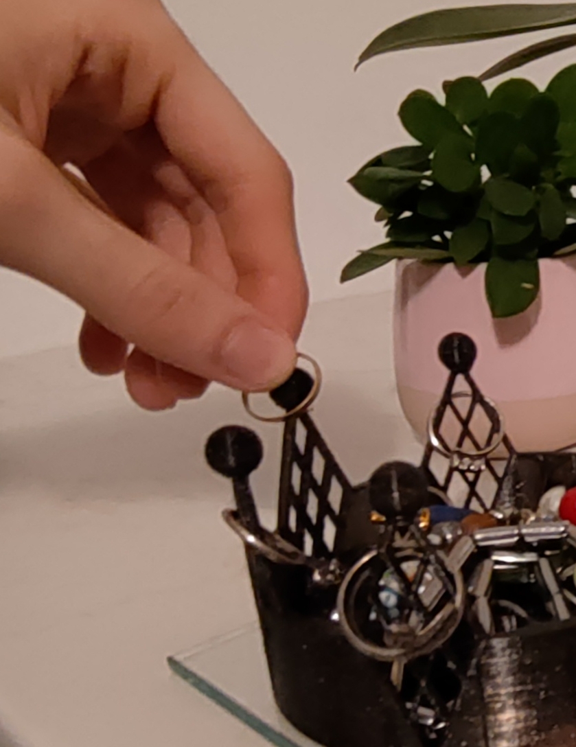 Ring holder and jewelry tray by AstigmaticEye | Download free STL model ...