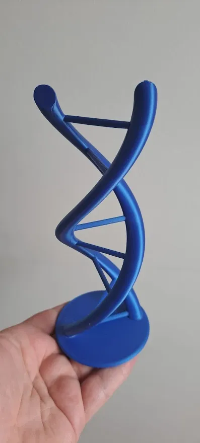 DNA Sample by Ruiaxe | Download free STL model | Printables.com