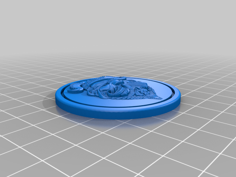 Viking Warrior Coin by KCWarthog3D | Download free STL model ...