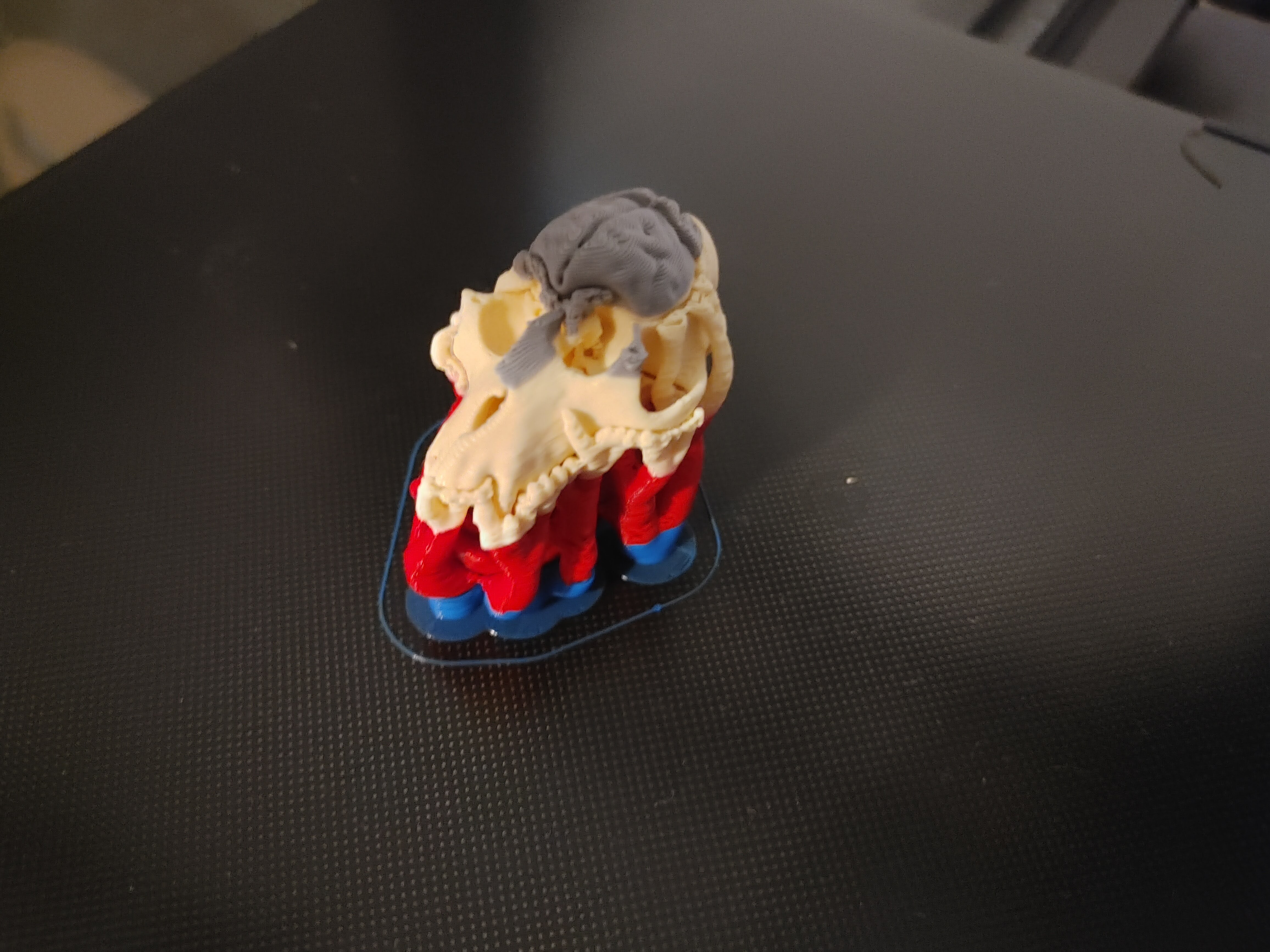 Cordyceps Infused Chilled Monkey Brains by sv0o | Download free STL ...