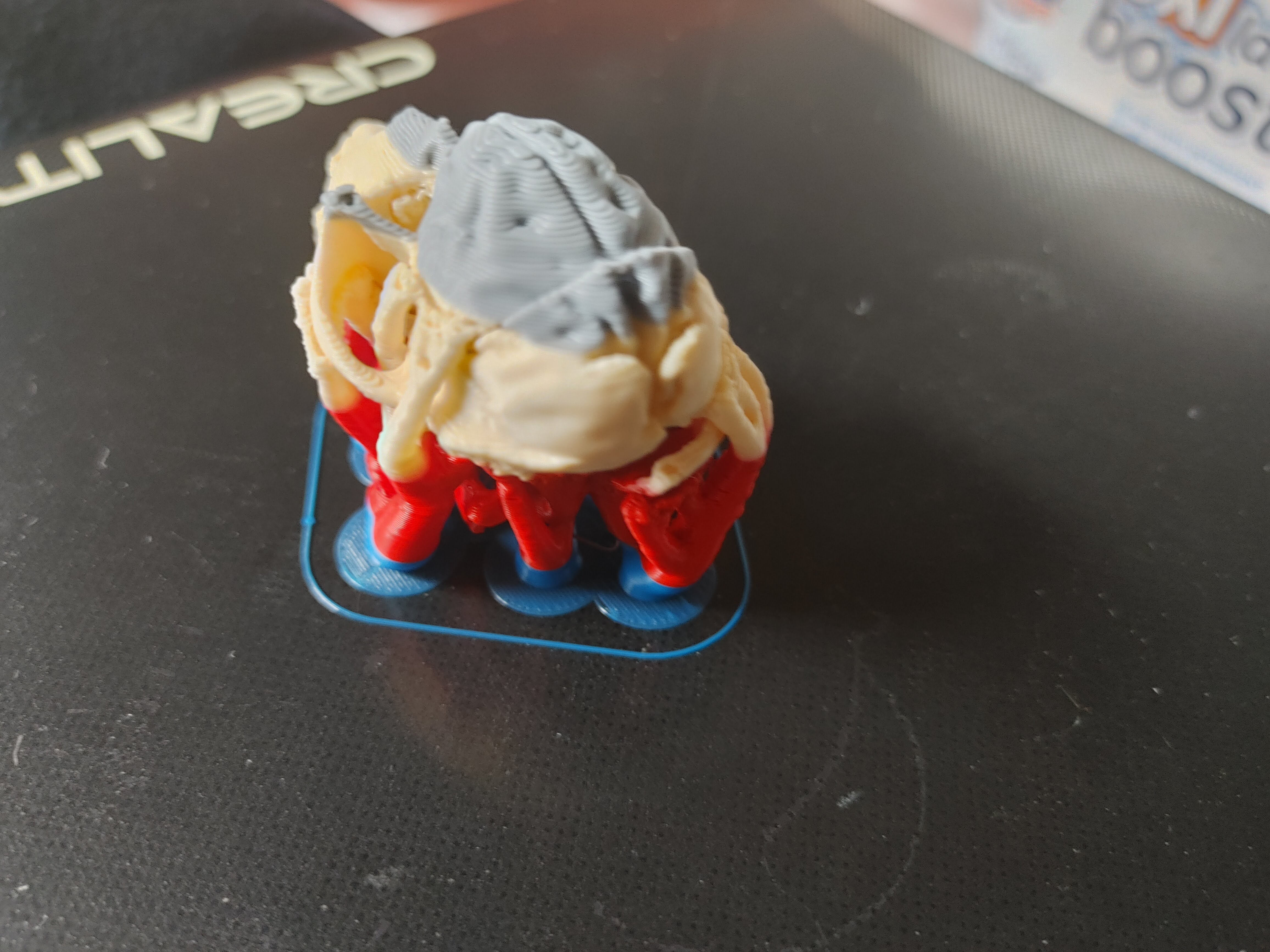 Cordyceps Infused Chilled Monkey Brains by sv0o | Download free STL ...