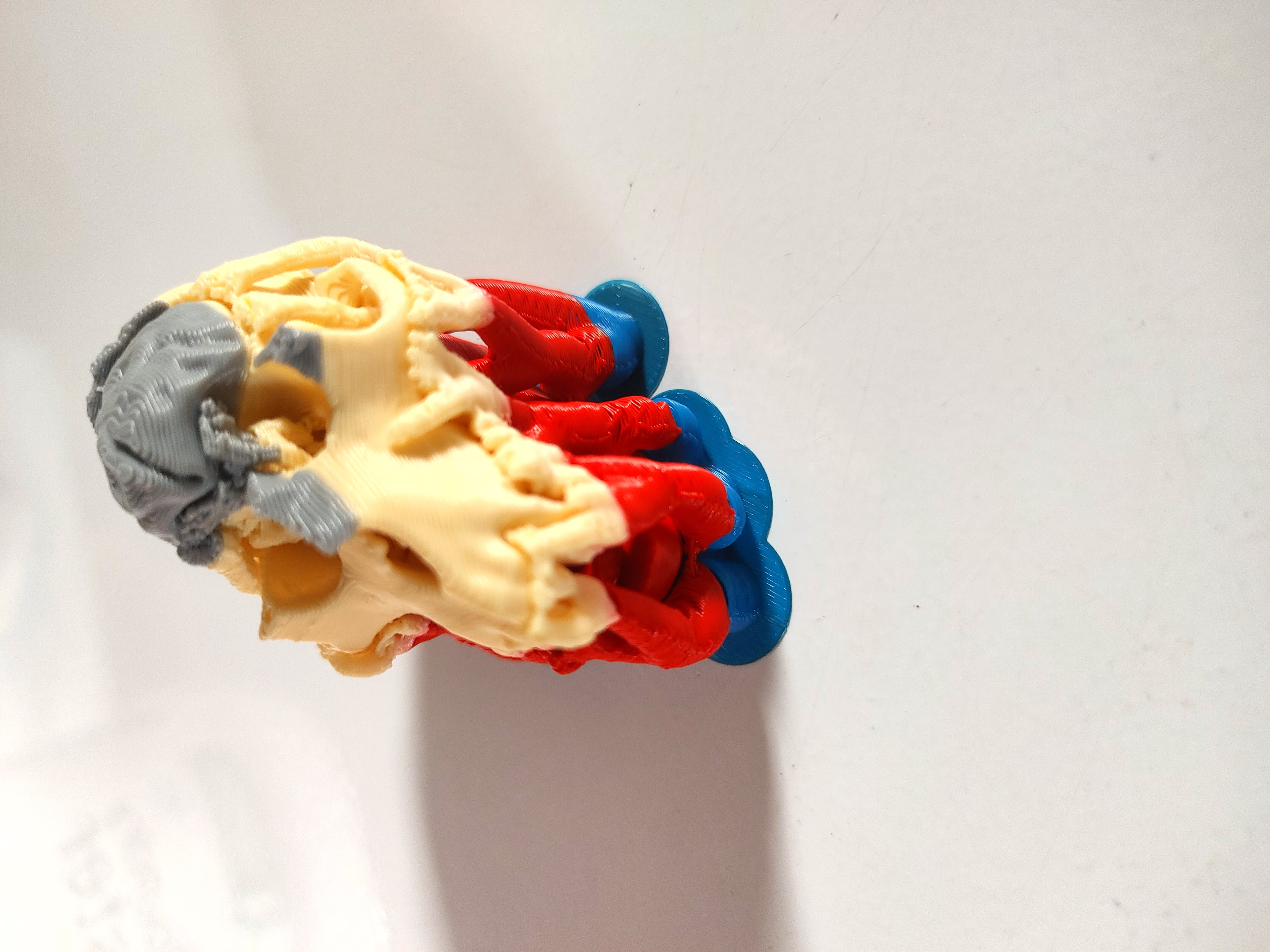 Cordyceps Infused Chilled Monkey Brains by sv0o | Download free STL ...