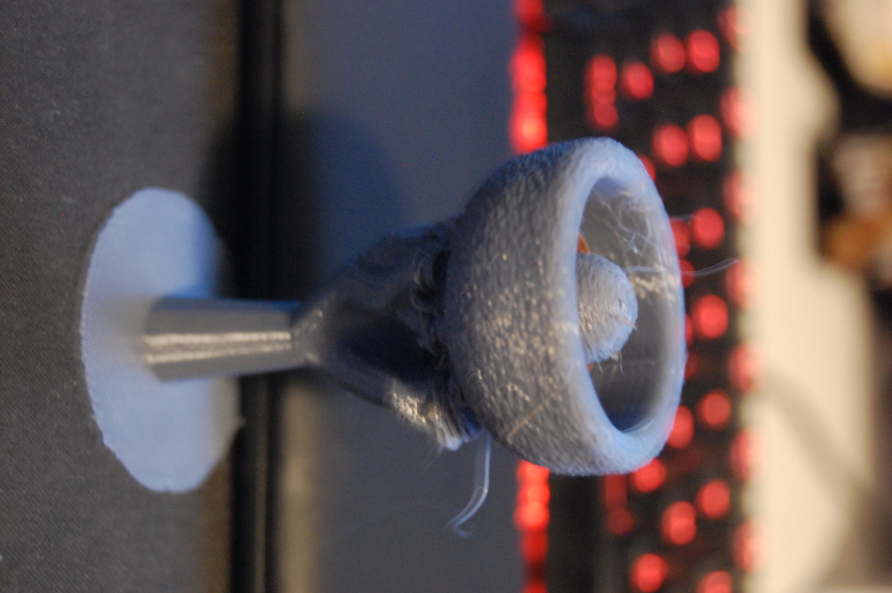 Bird's Nest Ring Holder by thecharliewahl | Download free STL model | Printables.com