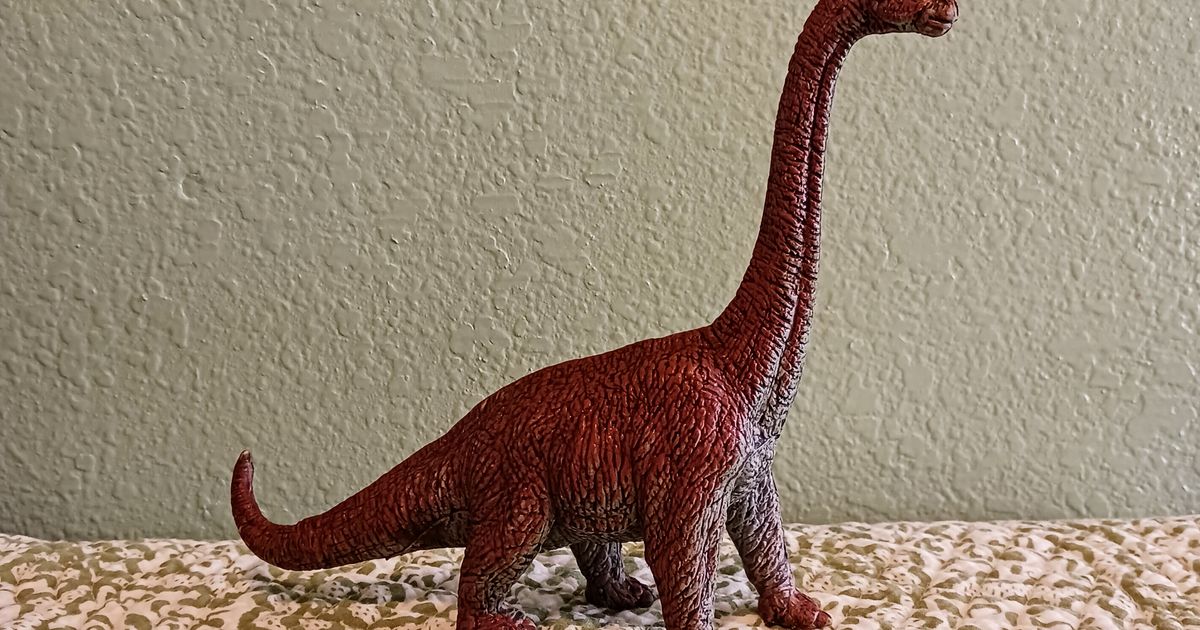 Apatosaurus 3D Scan by Levi Sitts | Download free STL model ...