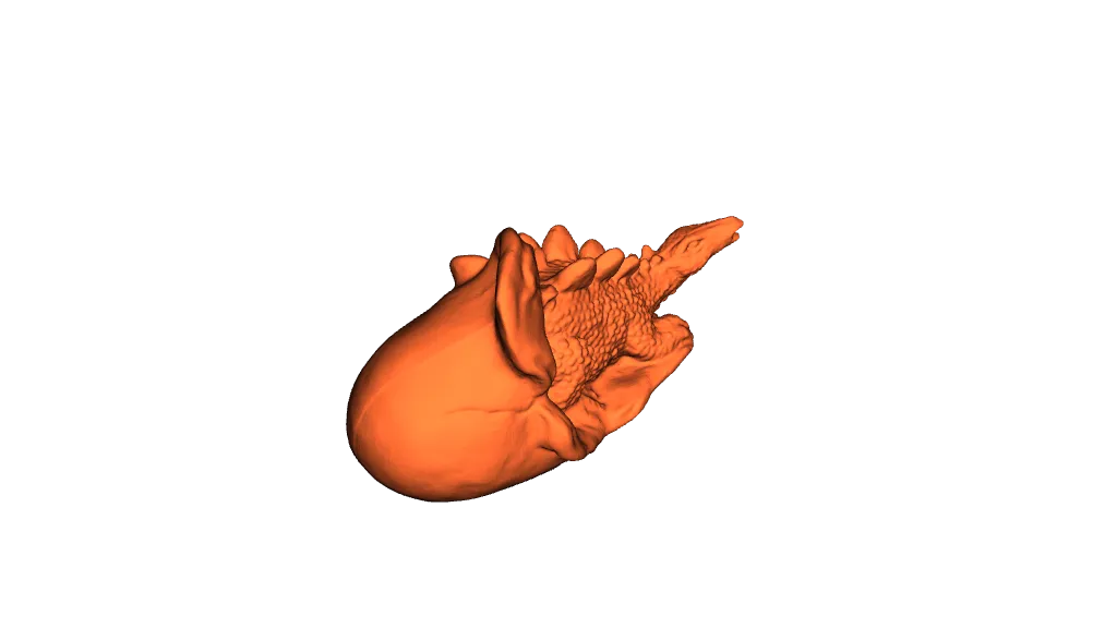 Baby Stegosaurus 3D Scan by Levi Sitts | Download free STL model ...
