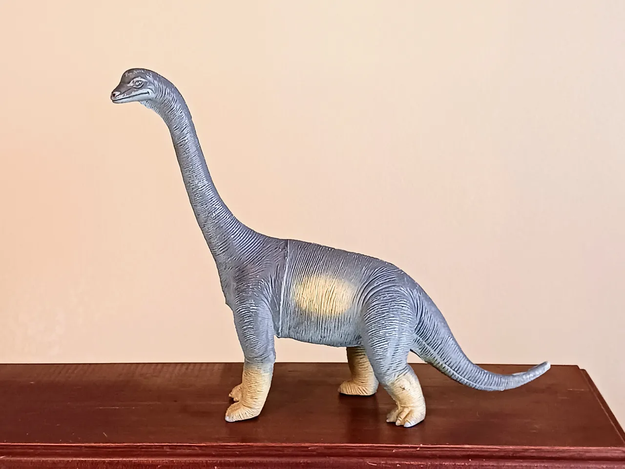 Brachiosaurus 3D Scan by Levi Sitts | Download free STL model ...