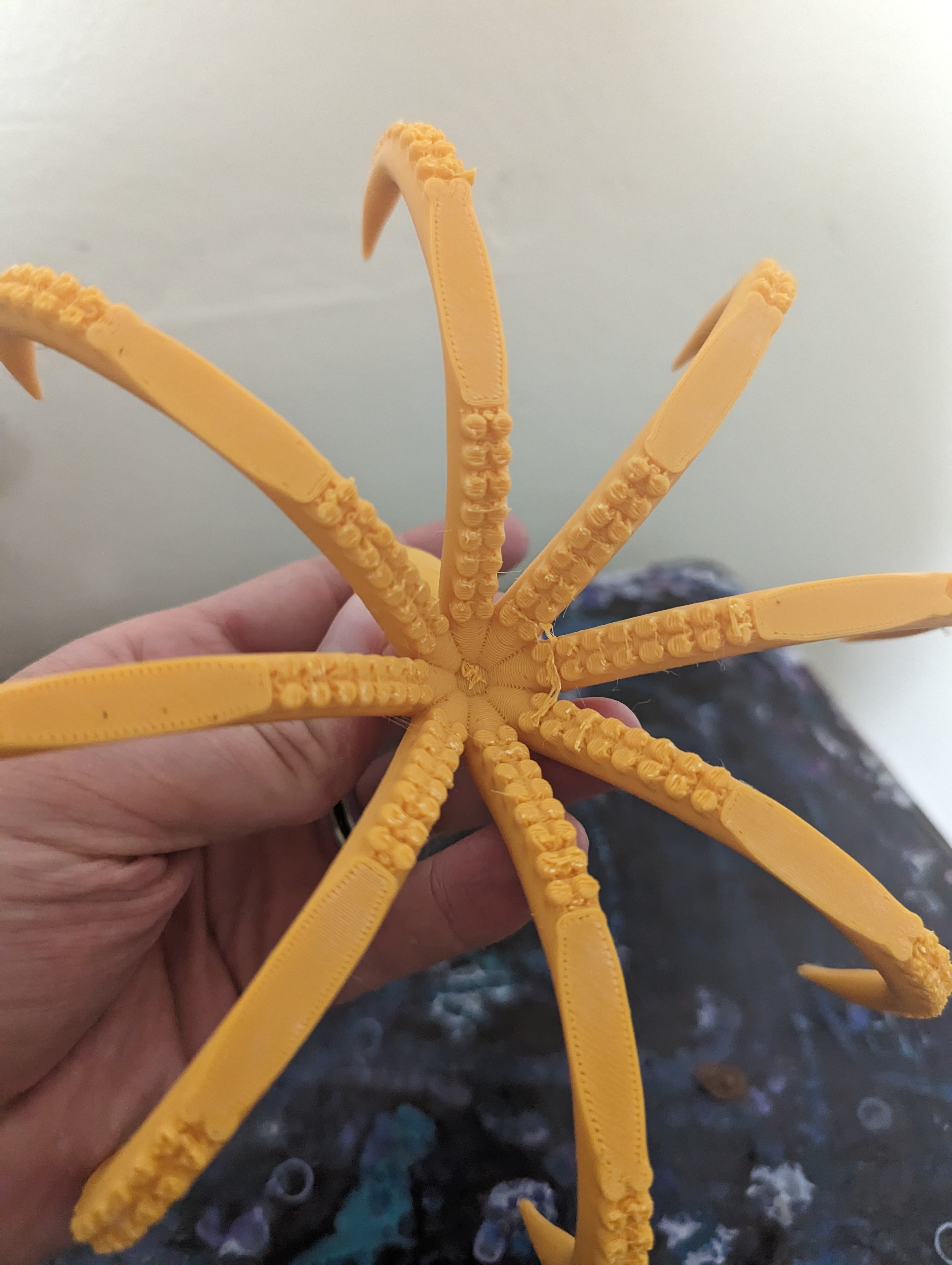 Octopus Ring Holder and Trinket Dish V2 by deinfinityx | Download free ...