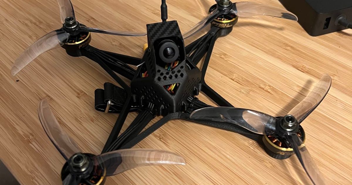 5'' FDM FPV Drone by Ruishen Zhuo | Download free STL model ...