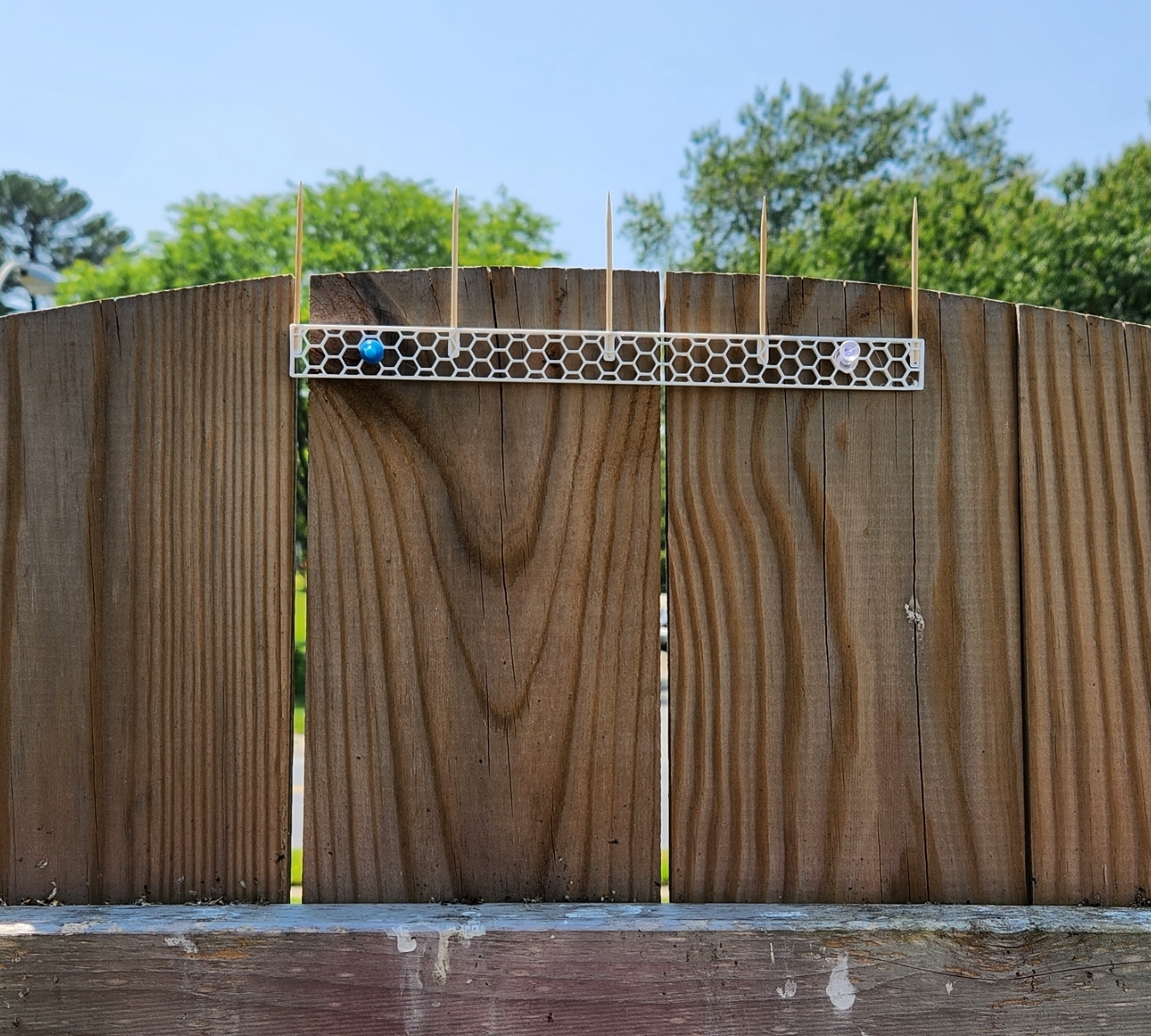 Bird Defender Spikes by Dis | Download free STL model | Printables.com