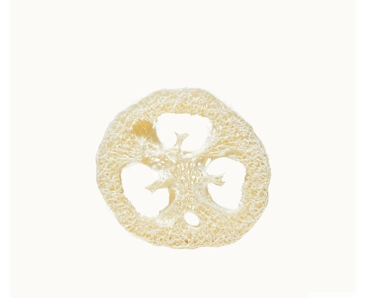 Luffa coaster by HankDruck | Download free STL model | Printables.com