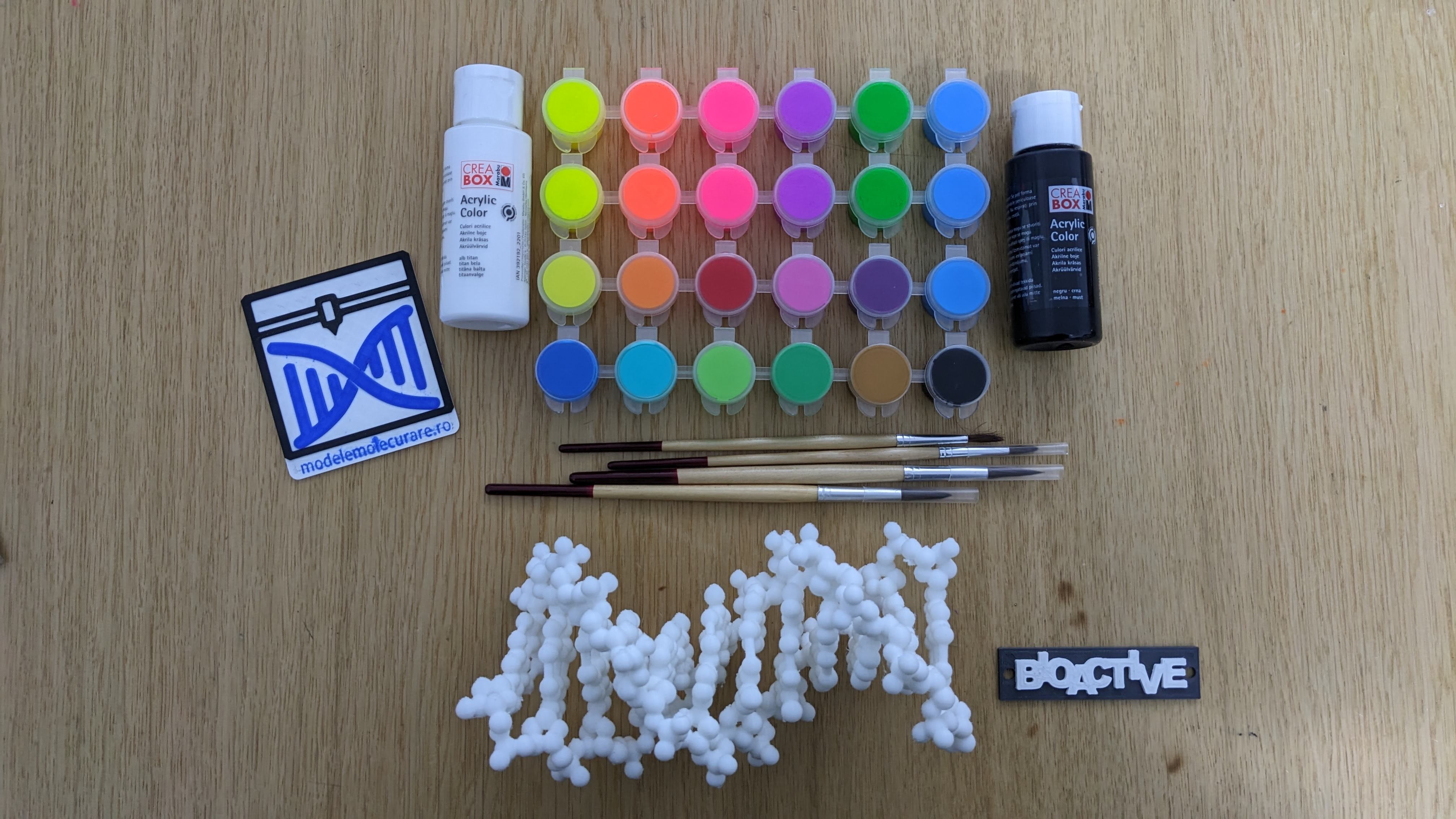 Physical models for teaching DNA structure and DNA-protein interactions ...