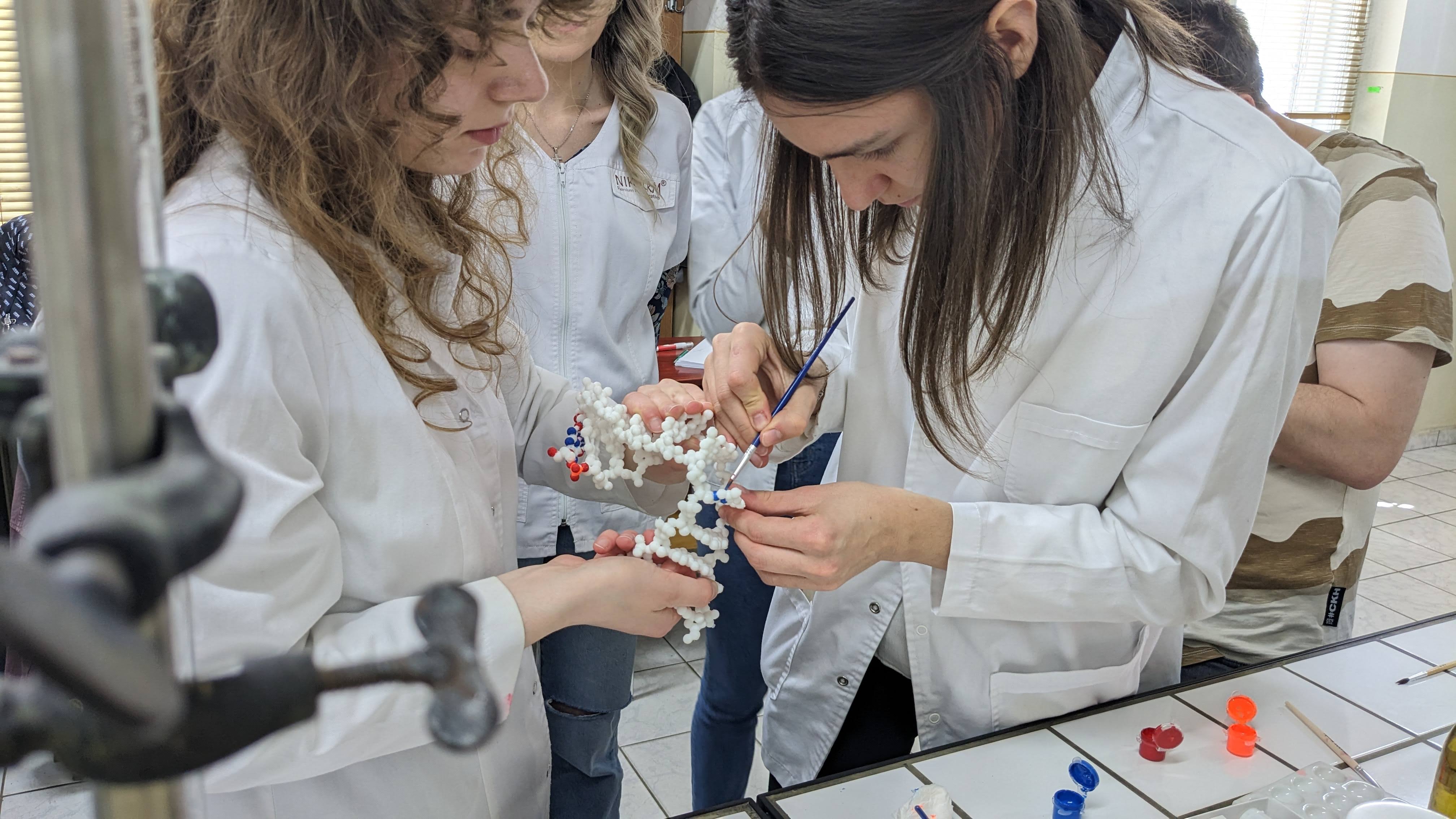 Physical models for teaching DNA structure and DNA-protein interactions ...