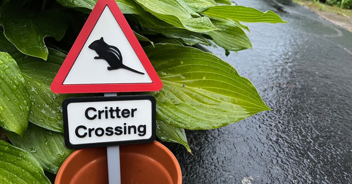 "Critter Crossing" mini roadsign - multi-color, multi-part, single ...