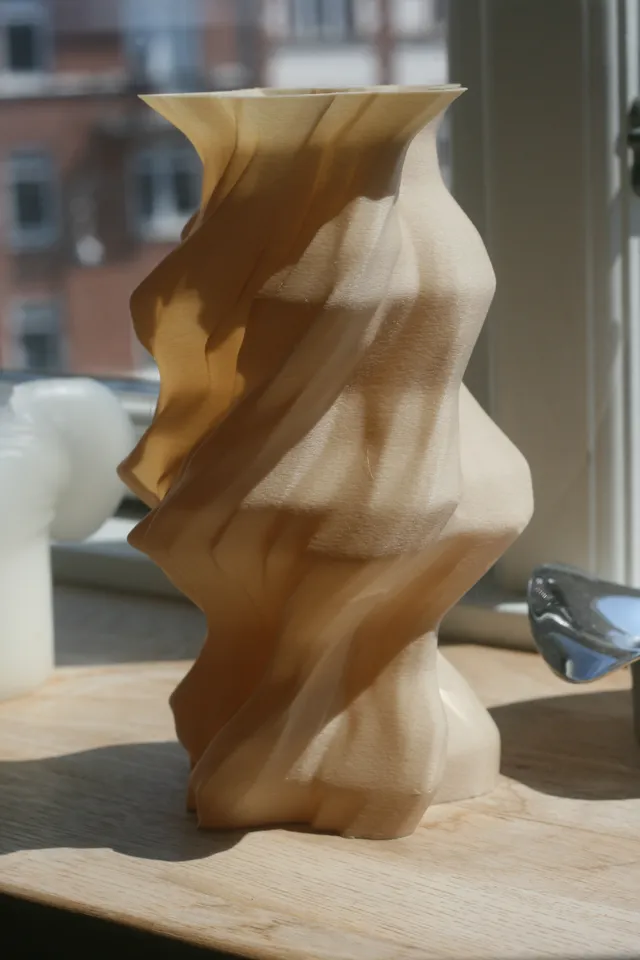 Curved organic two face vase by Jacob Laage Kragh | Download free STL ...