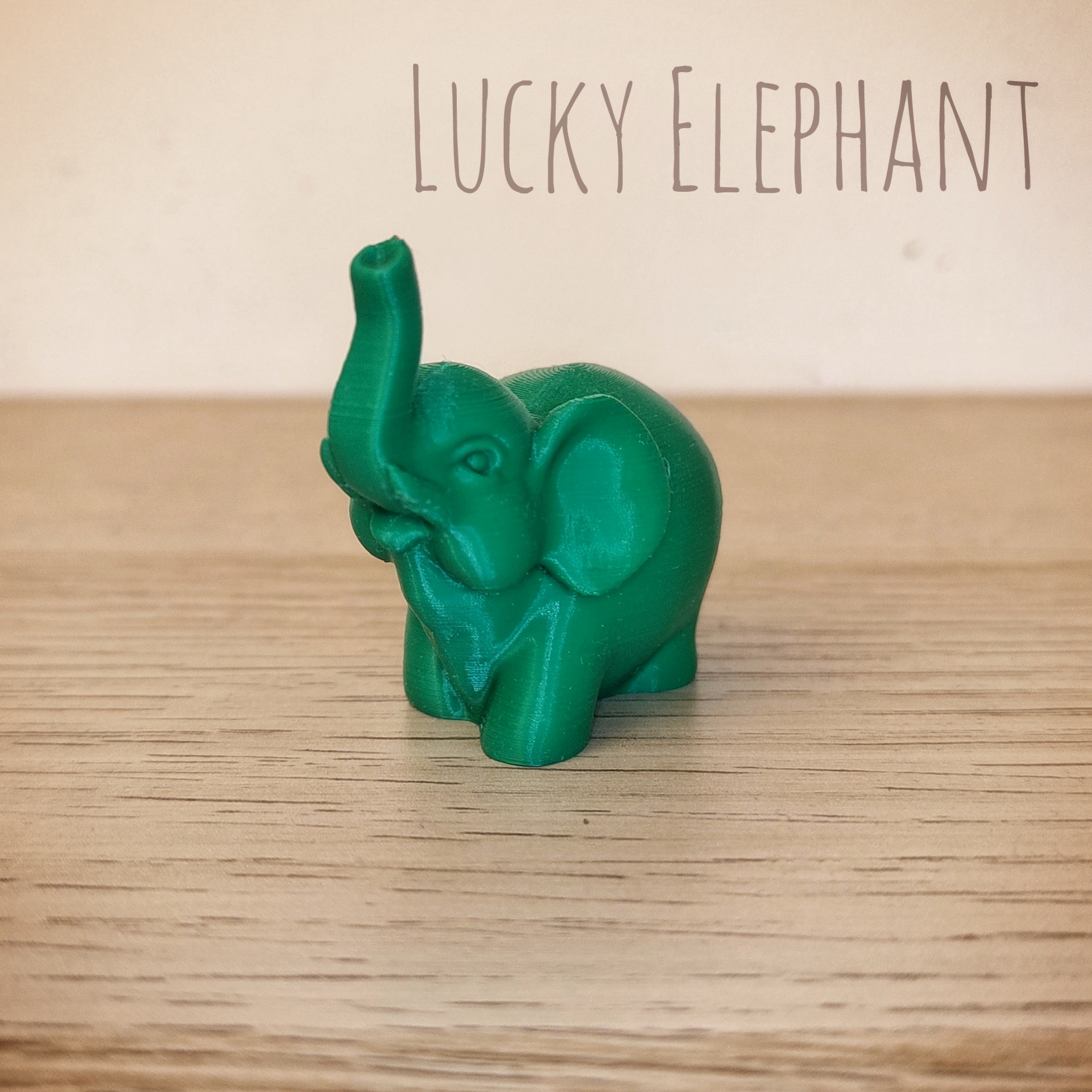 Lucky Elephant by ncsandor | Download free STL model | Printables.com