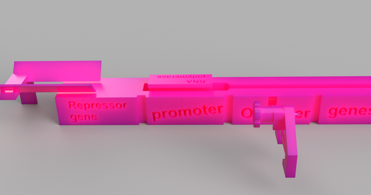 DNA transcription by Delta Protogen | Download free STL model ...