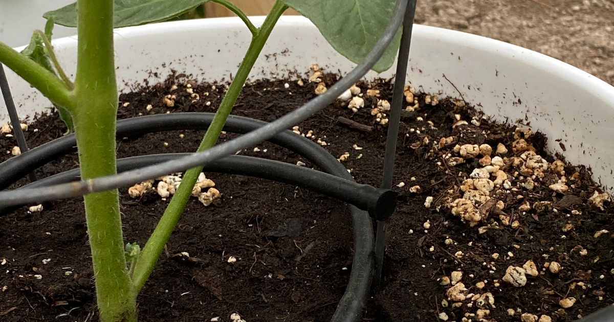 Irrigation Drip Line End Plug by JDePriest89 | Download free STL model ...