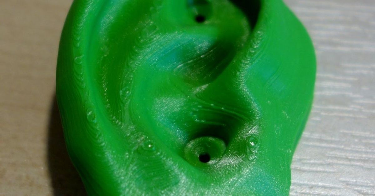 Human Wall Ear by CoenW | Download free STL model | Printables.com