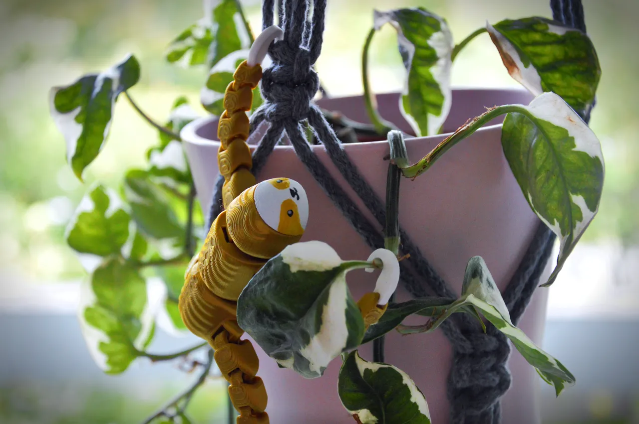 Flexi Sloth - Hook Claws for Hanging! by Printical | Download free STL ...