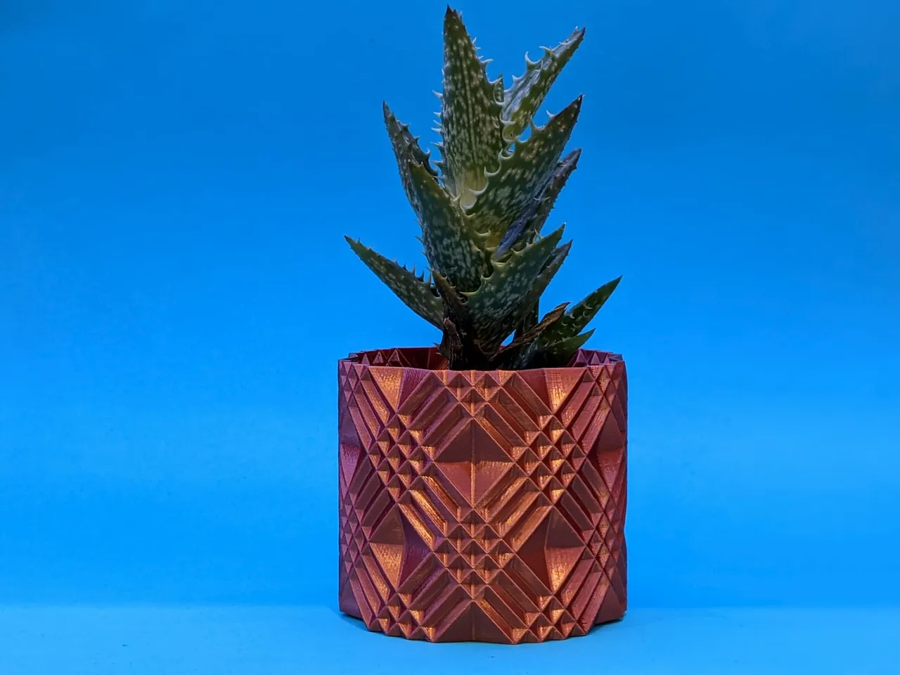 Succulent Plant Pot / Planter "Florence" by thudbuzz | Download free ...