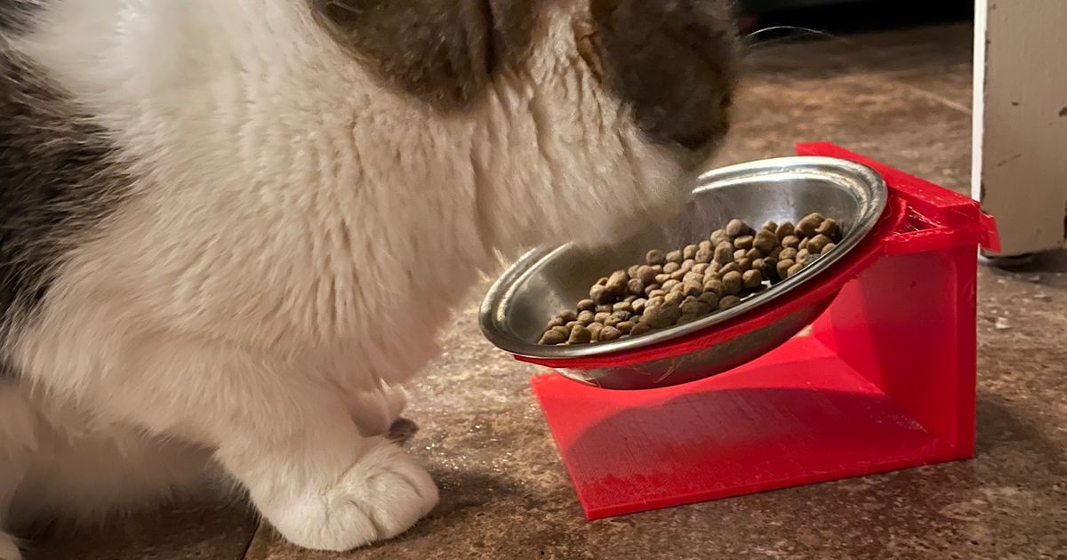 Elevated and Angled Food Bowl Holder by Foggy's Crafts | Download free ...