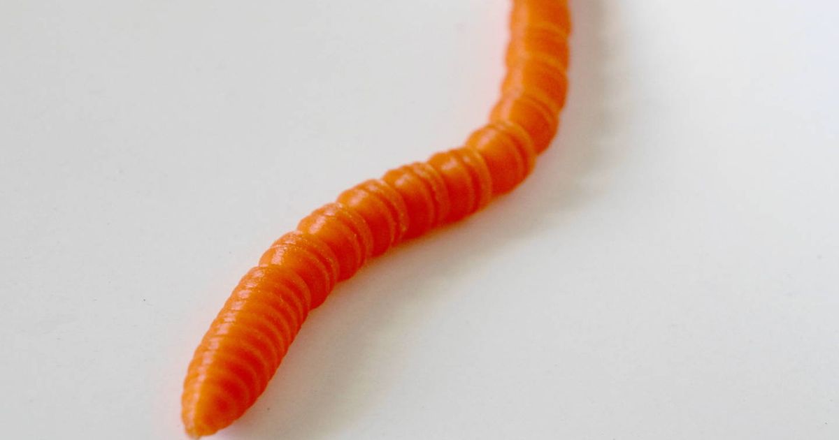 Earthworm by Jack | Download free STL model | Printables.com