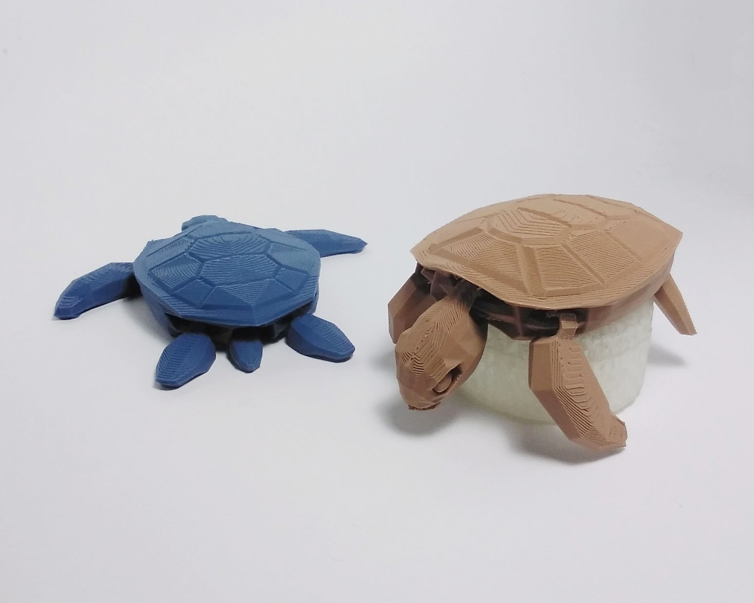 Sea Turtle Flexi by Lali3d | Download free STL model | Printables.com