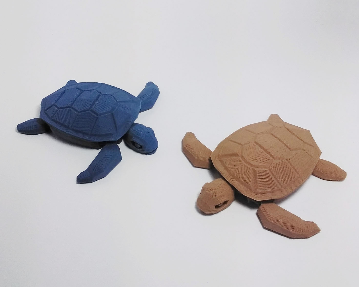 Sea Turtle Flexi by Lali3d | Download free STL model | Printables.com