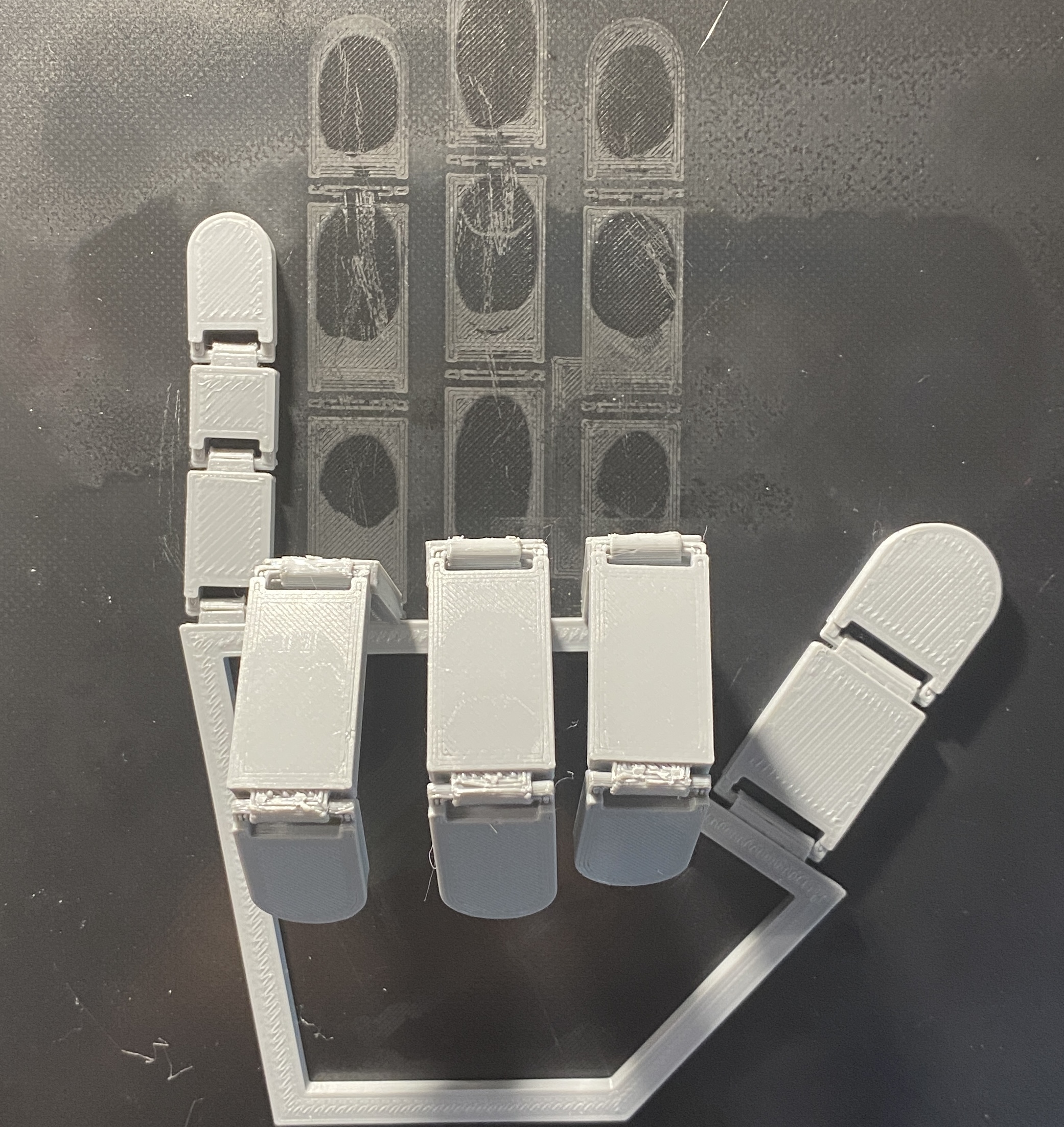 Flexi hand by zeaky03 | Download free STL model | Printables.com