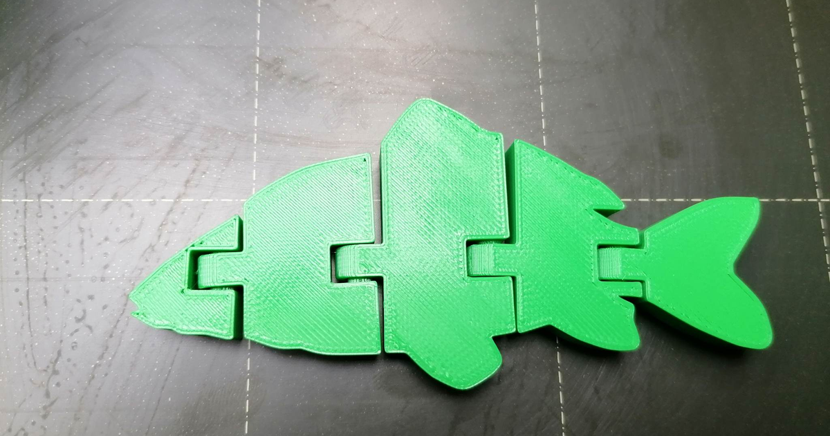 Flexi fish (carp) by Tonda Dočkal | Download free STL model ...