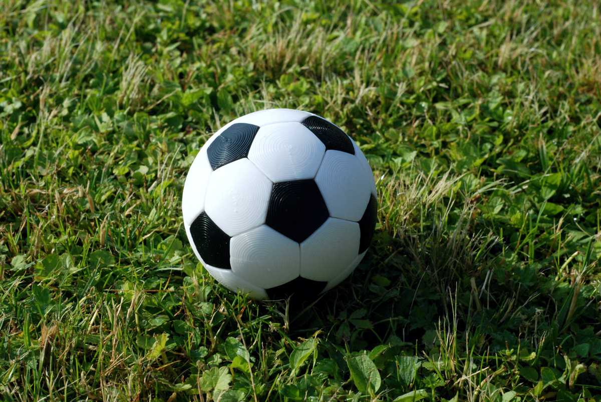 Magnetic Soccer Ball Puzzle by bunnyology | Download free STL model ...