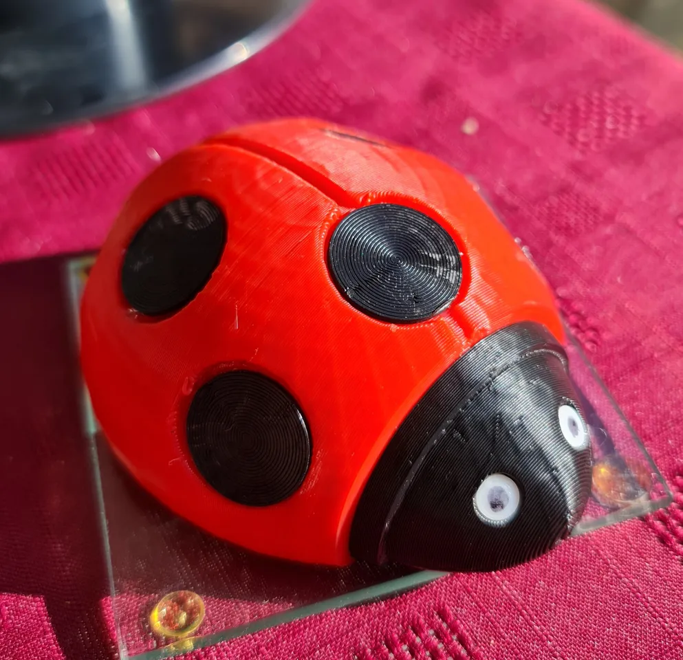 Ladybird (Ladybug) garden decoration by tony | Download free STL model ...