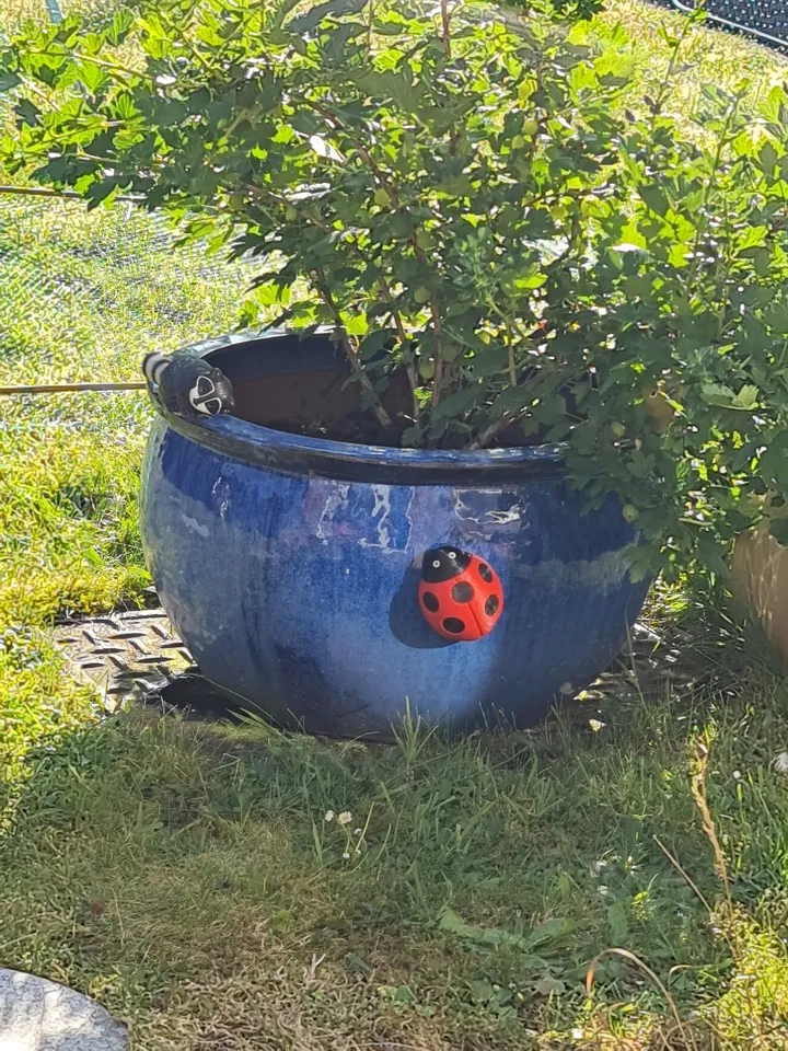 Ladybird (Ladybug) garden decoration by tony | Download free STL model ...