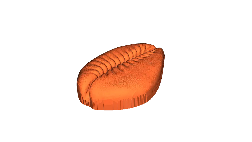 KORI SHELL by oiseau_vole112 | Download free STL model | Printables.com